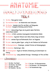 Anatomie Übungsblätter – PFLEGELERNZETTEL