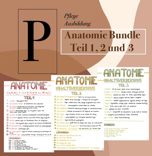Anatomie Übungsblätter – PFLEGELERNZETTEL